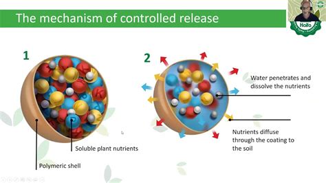Controlled Release Fertilizer Solution For Different Segments Webinar