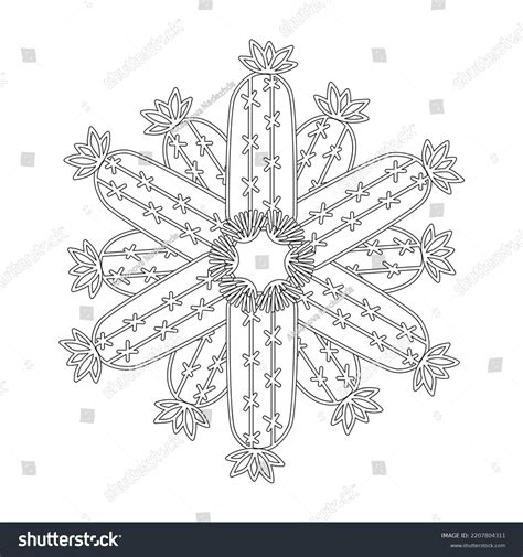 4 Cacti Mandalar Royalty Free Photos And Stock Images Shutterstock
