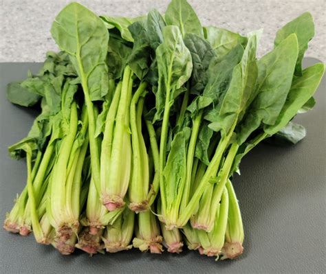 고추장 시금치무침 만드는 법 고추장을 넣은 새콤달콤한 시금치나물 무침