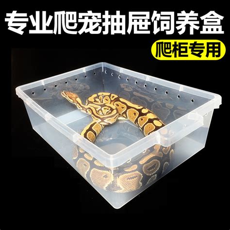 A4爬宠饲养盒pvc爬柜掌上明蛛豹纹守宫抽屉玩具蛇角蛙蜥蜴爬虫a6 阿里巴巴