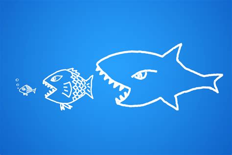 Ibm Ramps Up Business Intelligence Acquisitions