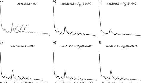 Figure 4 From Functional Dissection Of The Nascent Polypeptide
