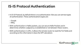 IS IS Protocol Adjacency PPT