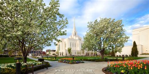 Ogden Temple Spring Pathway Panoramic Lds Temple Pictures