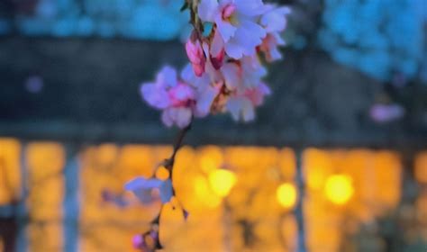 Scout List Vol 611 Scout Magazine