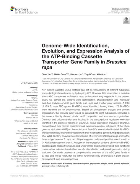 Pdf Genome Wide Identification Evolution And Expression Analysis Of The Atp Binding Cassette