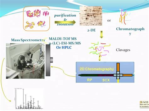 Peptide Mapping Pptx