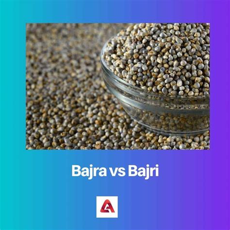 What We Say Bajra In English At Frank Hansen Blog