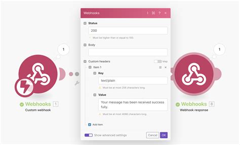 Display Webhook Response Data After Successful Form Submission