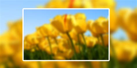 Java Renderscript Blur Overrides The Original Bitmap Stack Overflow