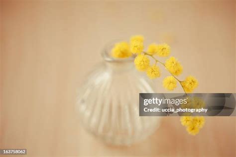Delicato Photos and Premium High Res Pictures - Getty Images