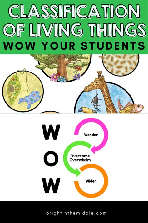 7 Wow Ideas To Teach Taxonomy Classification Of Living Things Bright