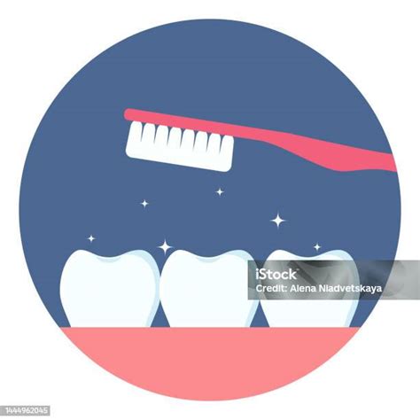 깨끗한 인간의 치아 어금니와 그 위에 칫솔이 있습니다 빛나는 깨끗한 치아 치과 치료 개념입니다 구강 위생 플랫 스타일의 벡터