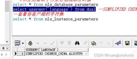 登录oralce客户端提示字符串不一致oracle数据库提示数据库字符集和客户端字符集不同 Csdn博客