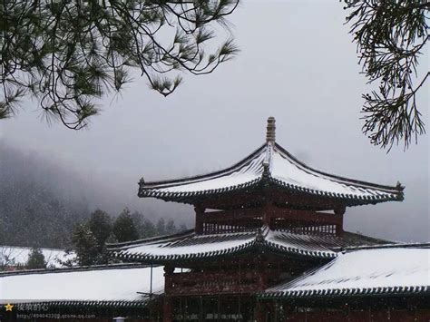 天曌山上去看雪 广元旅游攻略 游记 去哪儿攻略