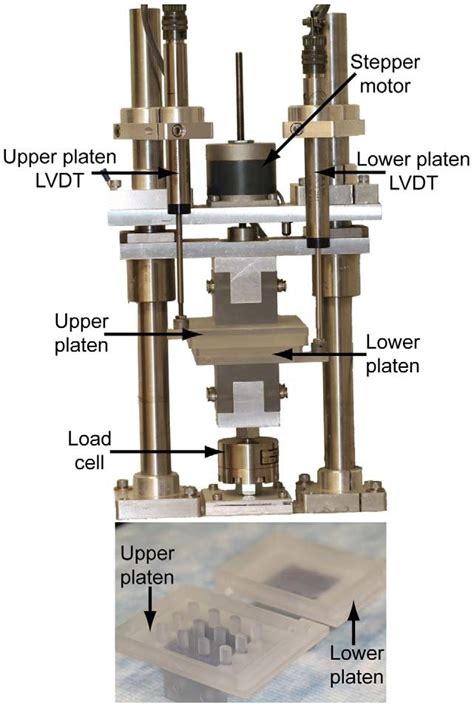 Tension Compression Stimulator And Platens Upper Stimulation Download Scientific Diagram