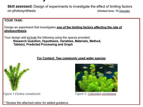 Photosynthesis Experimental Design Limiting Factors Teaching Resources