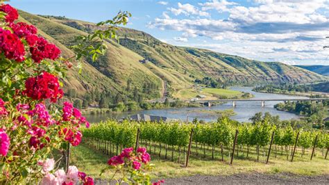 Lewis Clark Valley Wines Open Flavor Frontiers Good Sam