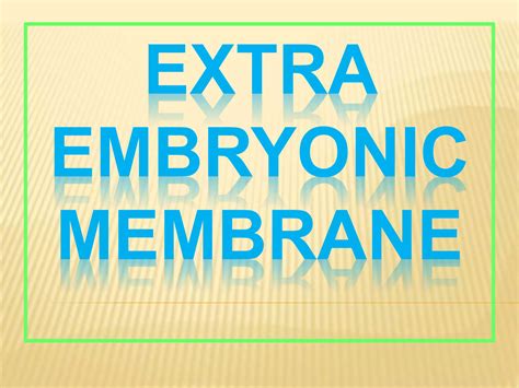 Embryology Extra Embryonic Membrane 1 Pptx