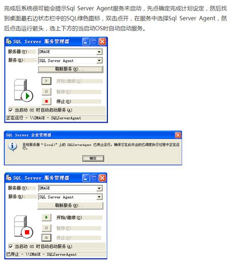 软件安装 备份数据和设置自动备份