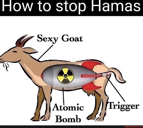 How To Stop Hamas Sexy Goat Americas Best Pics And Videos