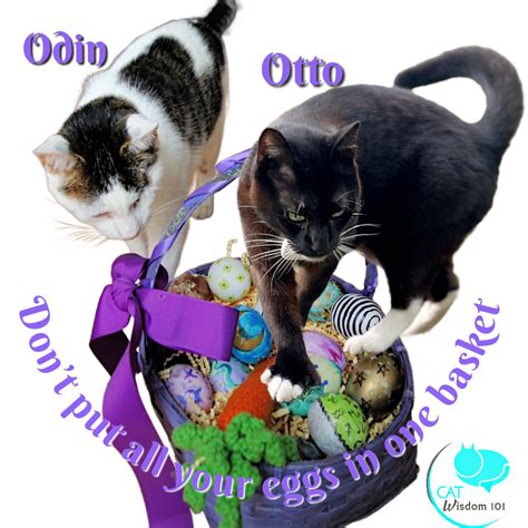 Eggs Easter And Cats Oh My Fun Facts Cat Wisdom 101