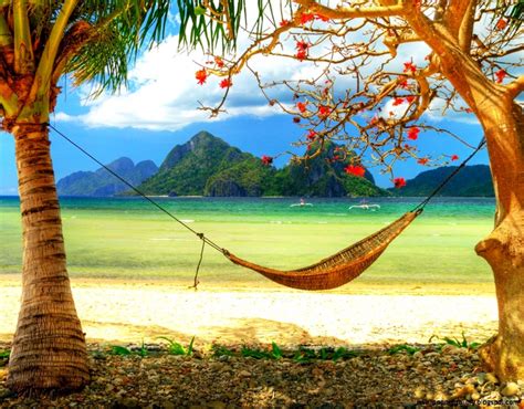 Beach Scenes With Hammock Wallpapers Gallery