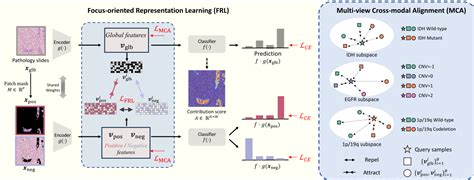 논문 리뷰 Focus On Focus Focus Oriented Representation Learning And