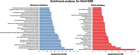 Kegg Human Pathway And Reactome Pathways Enrichment Analysis For 200
