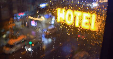 가로등 가벼운 놀이 거리 관념적인 날씨 네온 사인 대기의 도시 도시의 도심 메트로폴리스 반사 밝은 밤 밤문화 보케 불빛 불이 켜진 비 비오