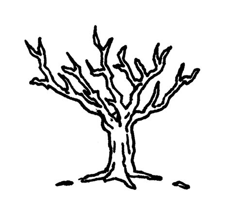 Dibujos De árboles Para Descargar Imprimir Y Colorear Colorear Imágenes