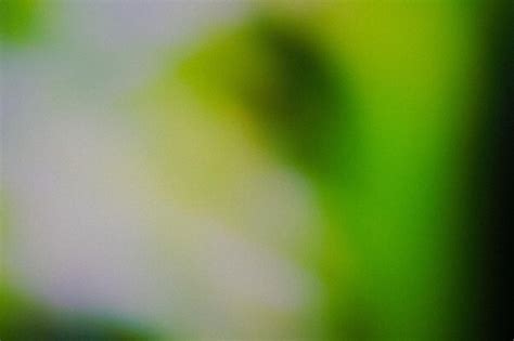 Premium Photo Grainy Dark Green Color Gradient Abstract Background