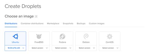 Install Python Sql Bash Creating A Droplet In Digital Ocean Data
