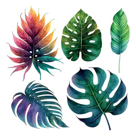 Watercolor Tropical Floral Illustration Set With Green Leaves For