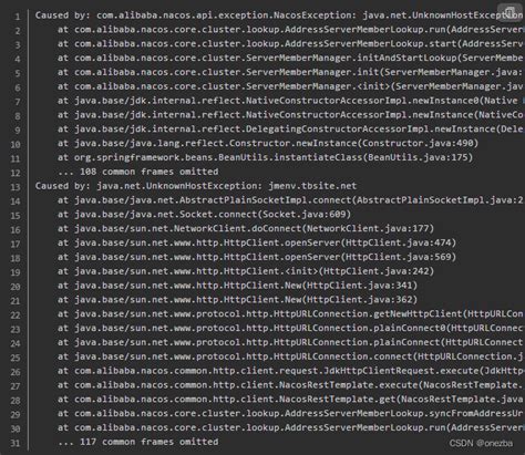 Nacos Alibaba Nacos Api Exception Nacosexception Java Net