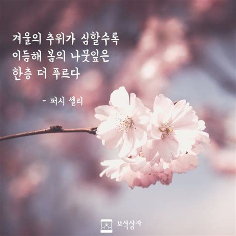겨울의 추위가 심할수록이듬해 봄의 나뭇잎은한층 더 푸르다 퍼시 셀리