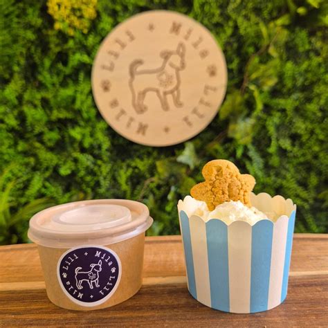 Interactive And Multilingual Hull Map