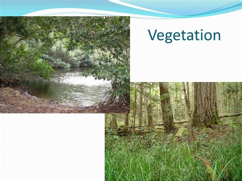 Ppt Hudson Bay Lowlands Powerpoint Presentation Free Download Id