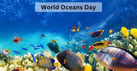 What Is World Oceans Day Why Is It Celebrated On 8th June