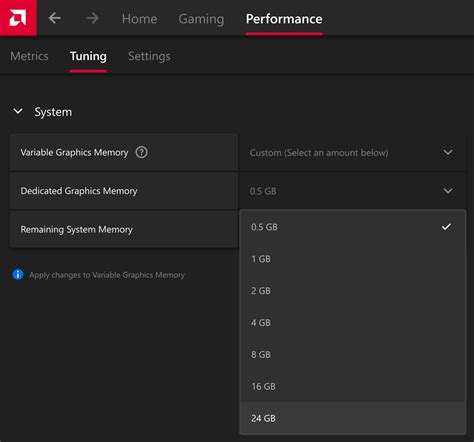 Allocation Of Video Memory In Systems With Integrated Graphics Units