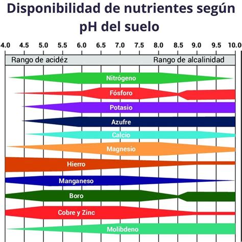 Disponibilidad De Nutrientes Según El Interés Agronómico Facebook