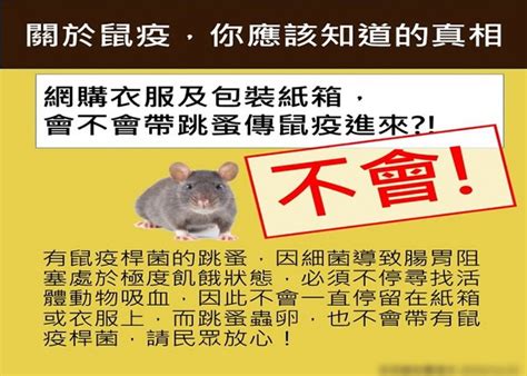 鼠疫酝酿网传谣言四起 两岸疾控部门辟谣 神秘的地球 科学 自然 地理 探索