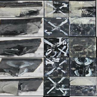 Optical Image Of The Specimen After D Download Scientific Diagram