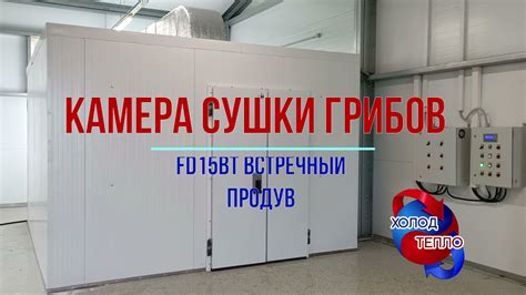 Камера сушки грибов на основе агрегата конденсационной сушки. Загрузка ...