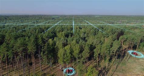 Woodcutting With Modern Equipment Legal Logging From A Drone The