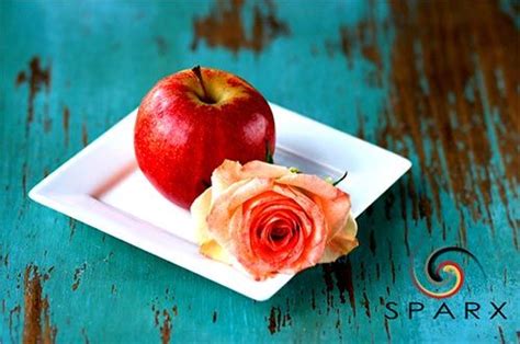 Amazing Facts About Food You Cant Miss Funzug
