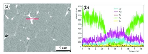 Bse Sem Images A Of The Center Of The Magnet Obtained Upon Dy