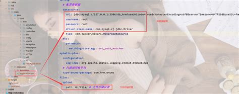 基于springbootvue实现的人力资源管理系统 代码 最代码