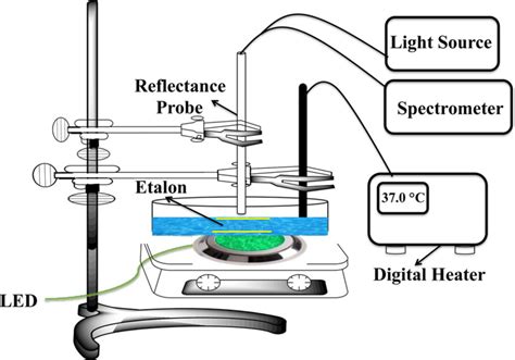 Simplified Schematic Diagram Of The Experimental Setup Download Scientific Diagram