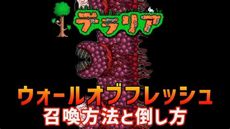 テラリア【攻略】ウォールオブフレッシュの召喚方法と倒し方 Steamゲーマー戦記